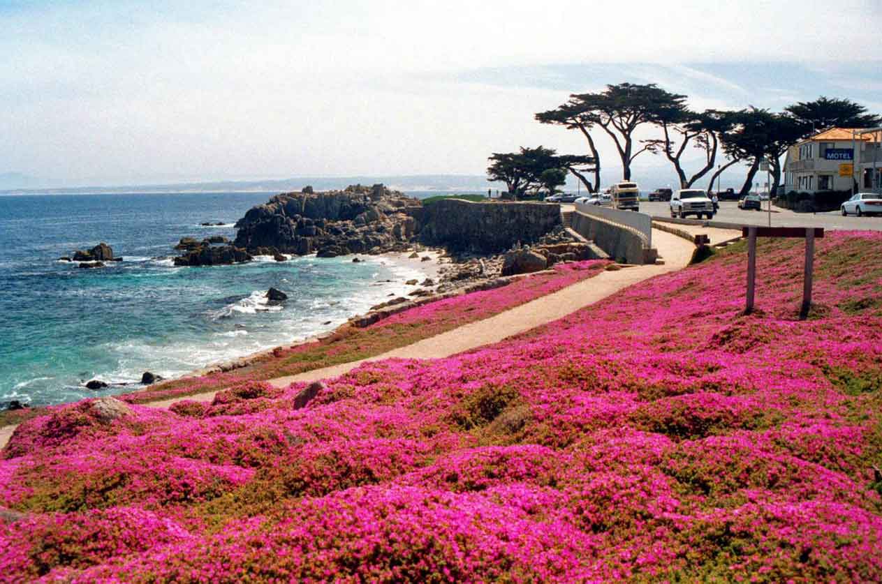 Do You Know the Way to Monterey Bay? – Ethereal Rowing
